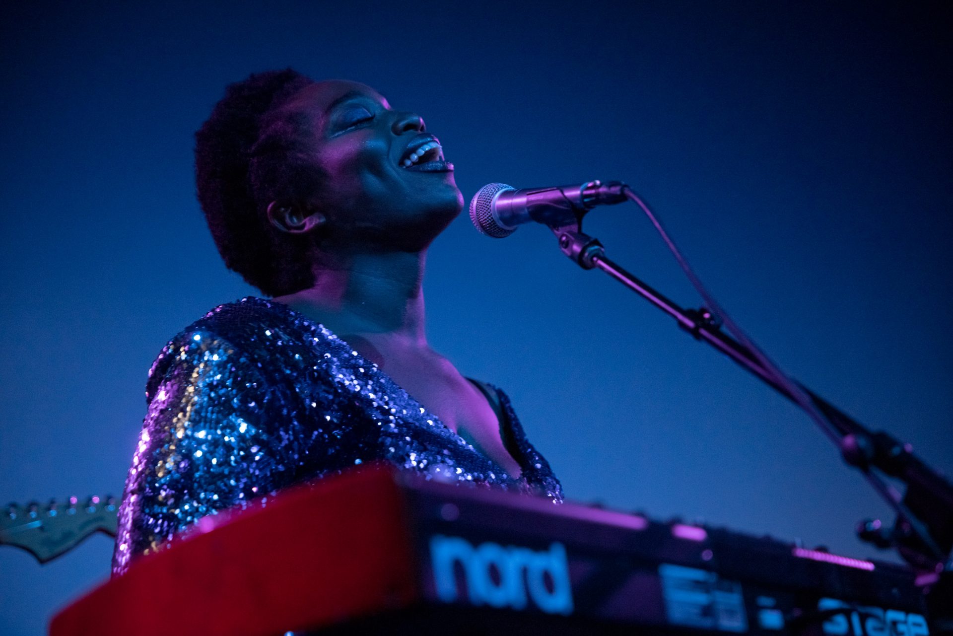 Freakout Fest, em Seattle, anuncia Os Mutantes e mais 100 atrações